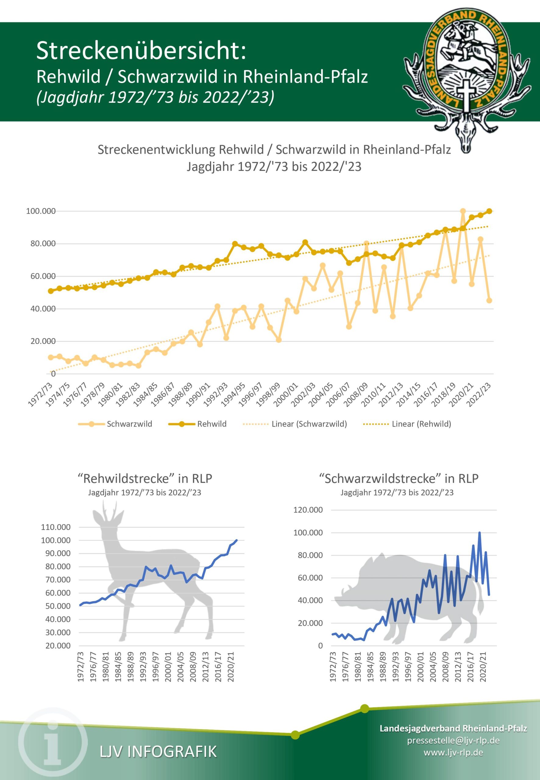 Über 100.000 Rehe erlegt - Rekordstrecke beim Rehwild ...